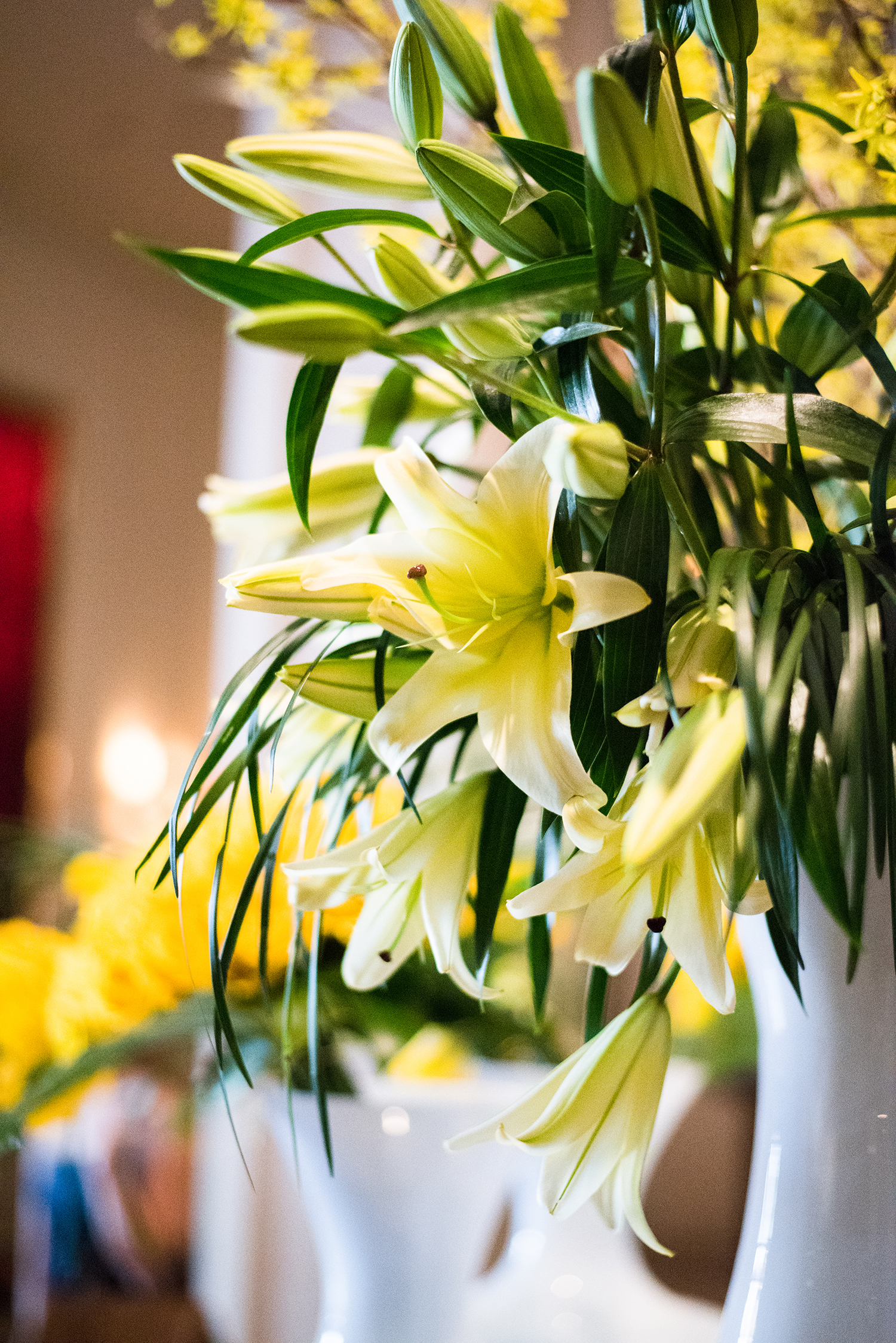 Ready for Spring with Square Root Designs - The A List